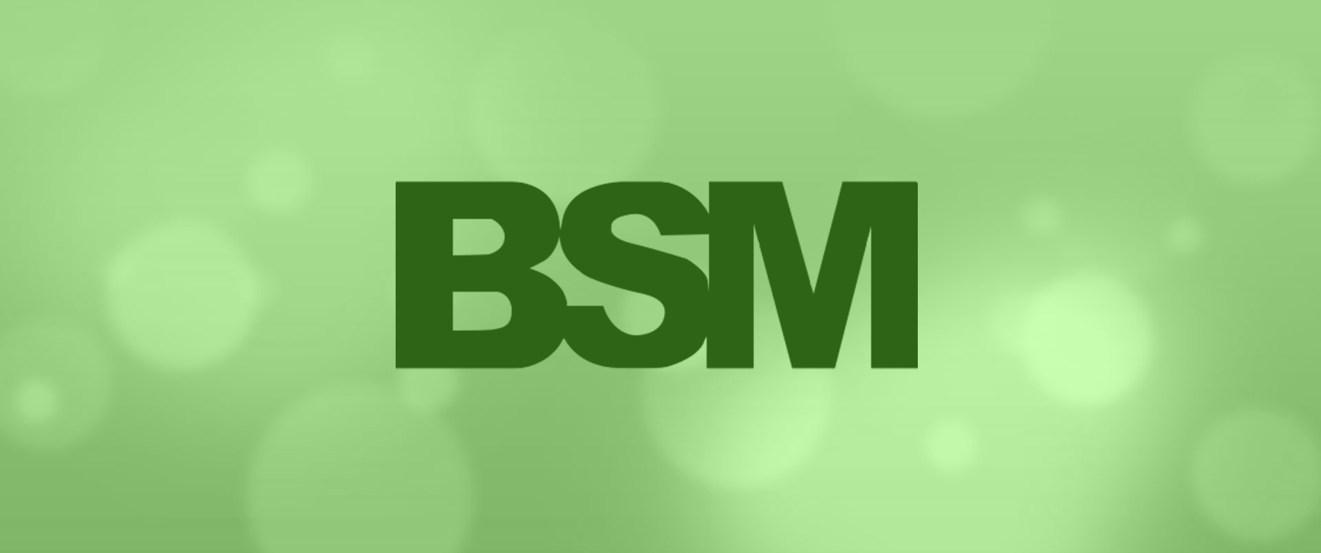 BS Micro - BSM Home Page